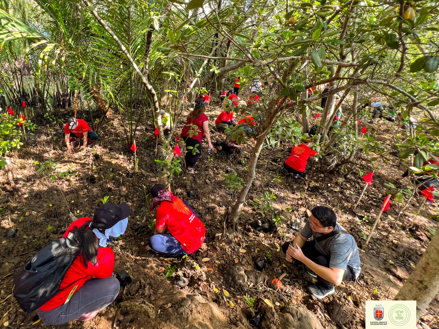RAFI OTT, Wells Fargo to Rehabilitate Mangrove Forest in Lobo, Batangas ...